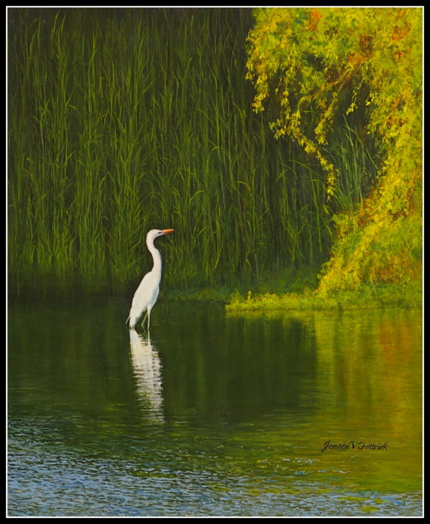 Awards Archive – Queensland Wildlife Artists Society Inc