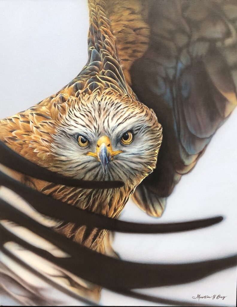 Past Exhibition Reports and Awards – Queensland Wildlife Artists ...