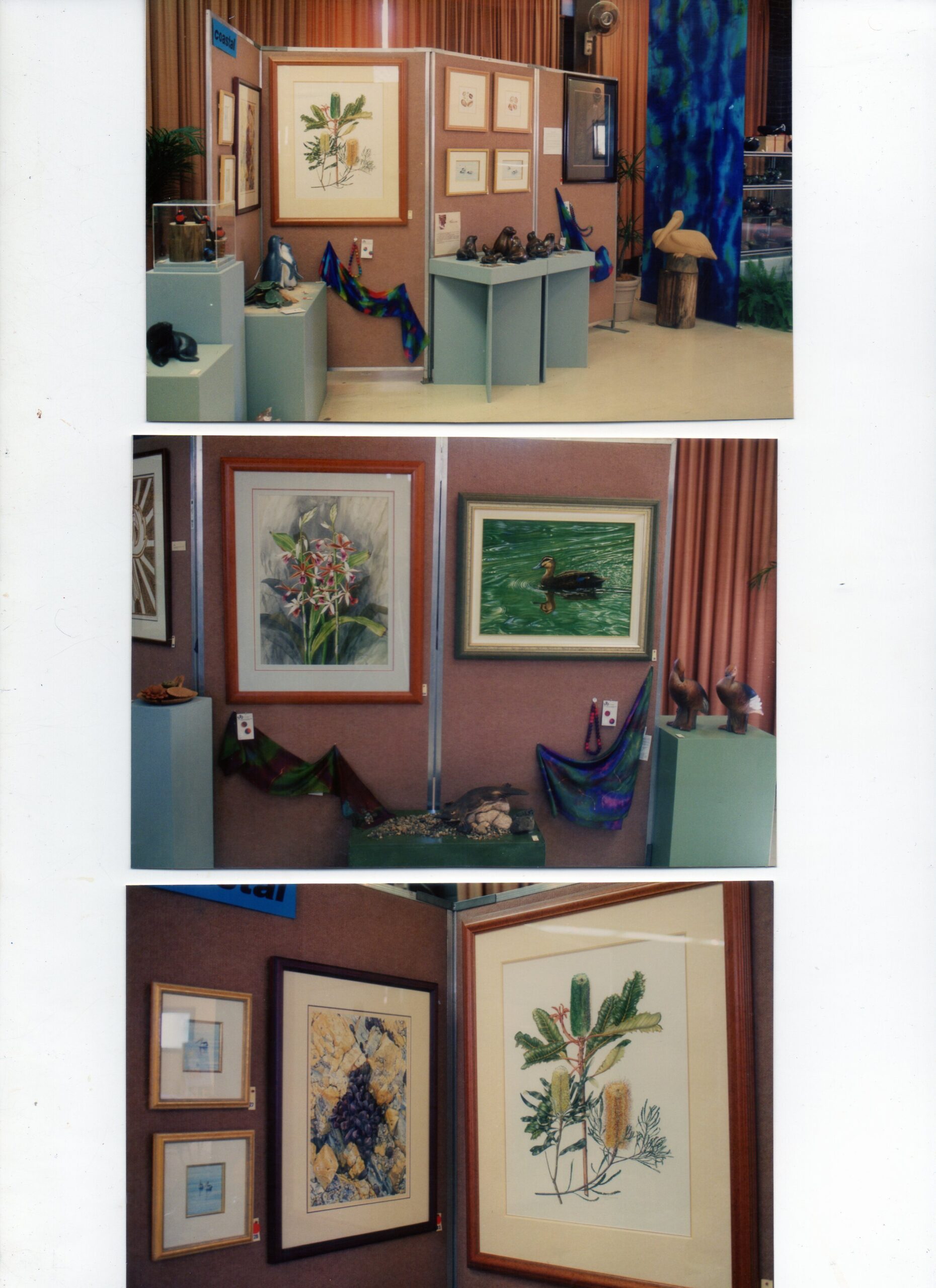 History of QWASI – Queensland Wildlife Artists Society Inc